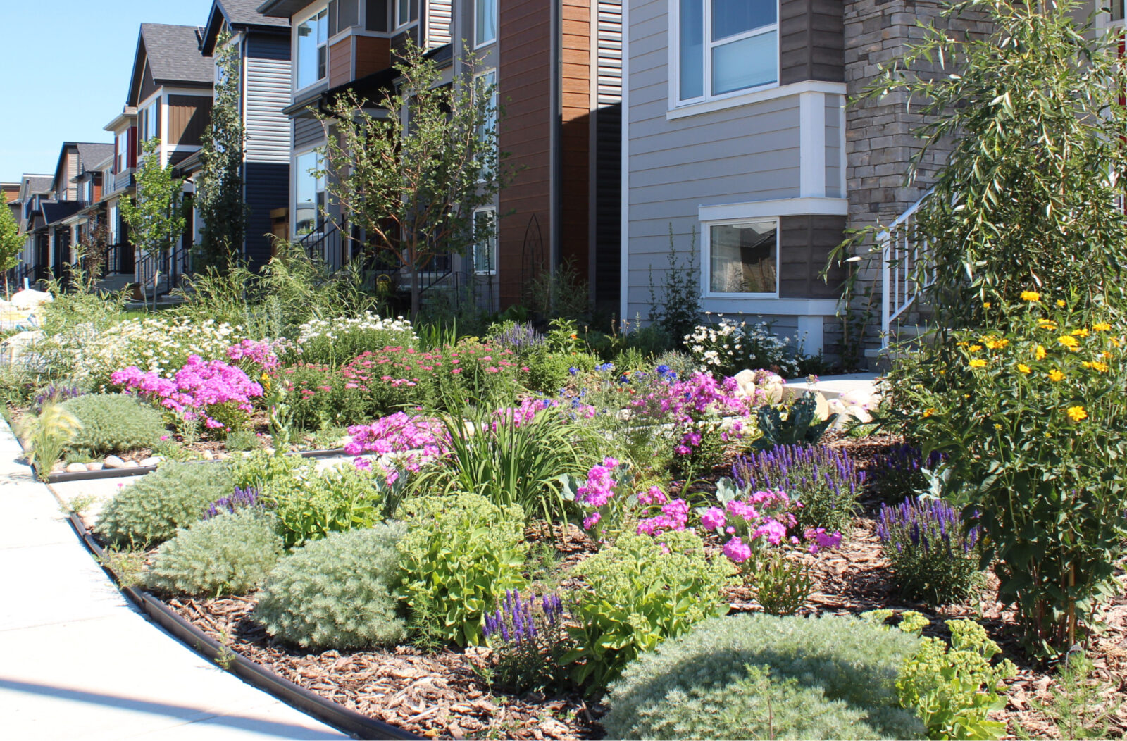 Transform Your Outdoor Space: Landscaping Ideas for Your New Home ...